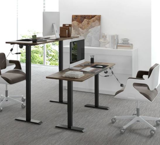 Standing Desks - Lifestyle Warehouse
